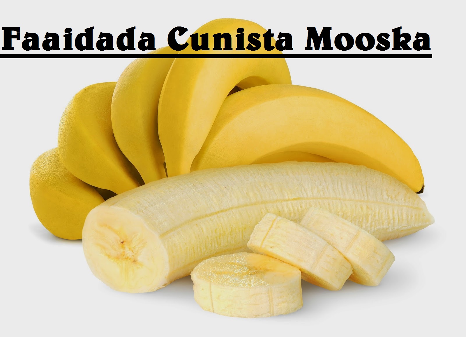 Saalax Website Online: November 2016