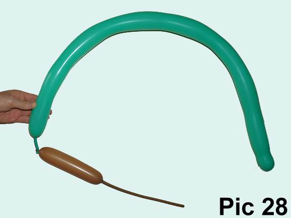 CLASSICAL: Cattail balloon flower