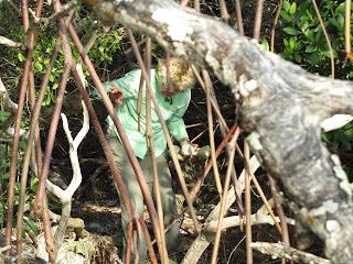 Connecting Pieces: Shell Seeker- Hunting for Conch Shells