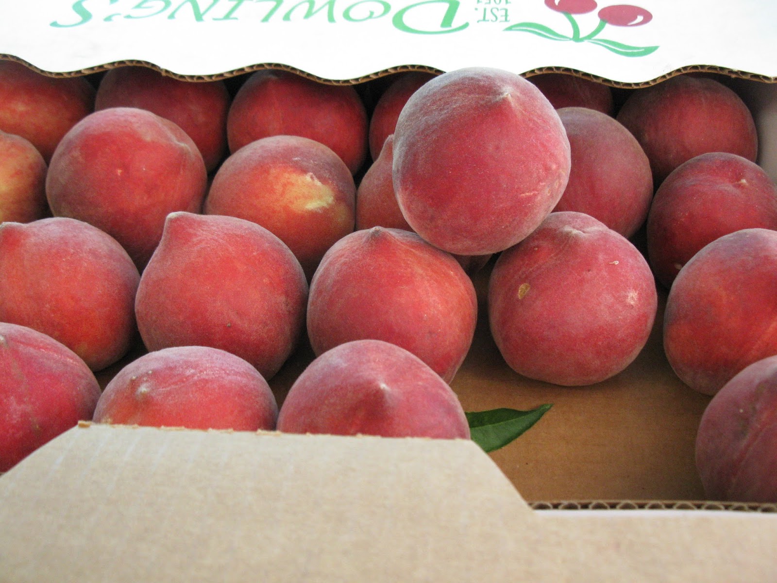 GOBSMACKED BAKING RECIPES : Recipes of the MONTH: Vegan adaptable PEACH ...