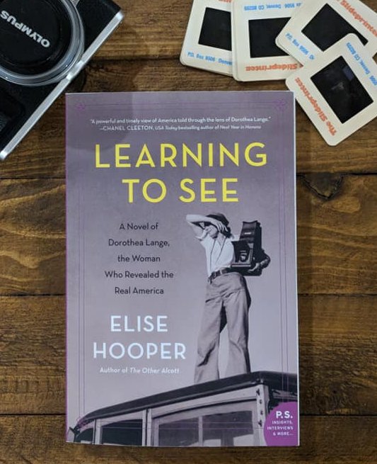 Bookfoolery : Learning to See by Elise Hooper