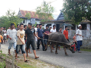 KPMP CAB. SUPPA: Ritual Adat to Suppa , Mappalili