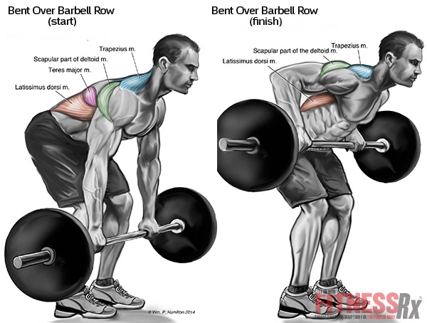 The Best Exercises to Include In Your Muscle Building Routine ...