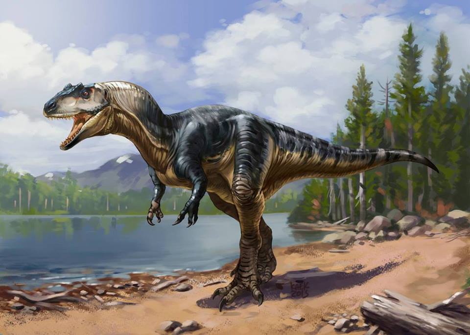 Mi blog: Galería de imágenes: Allosaurus