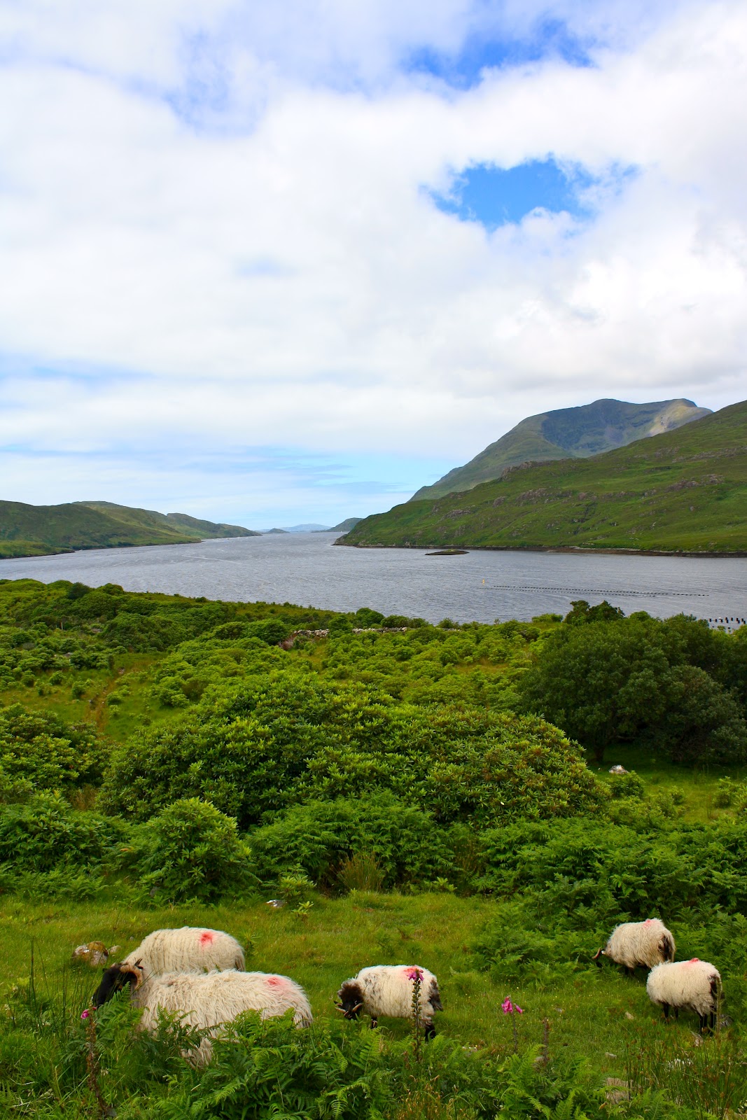 Beautiful Ireland