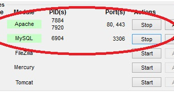 Tutorial Export dan Import Databases Mysql di Phpmyadmin XAMPP - SubKode