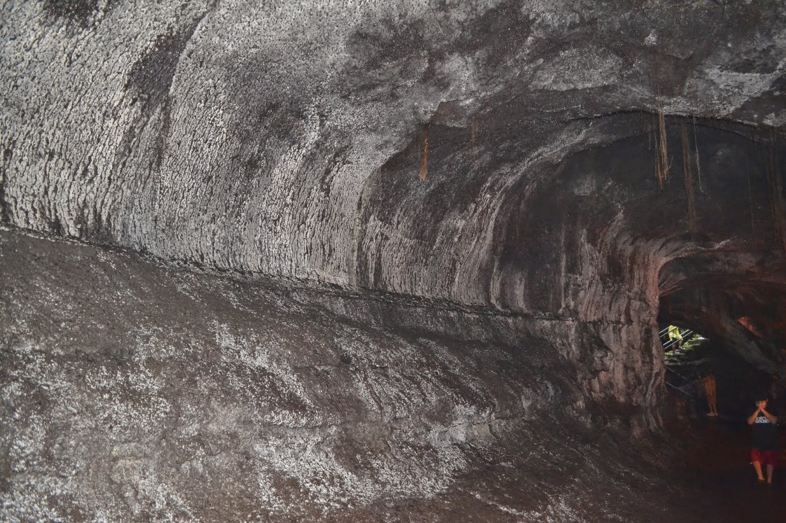 Family Travel Blog : Hawaii Daily Photo: Inside a lava tube, Big Island