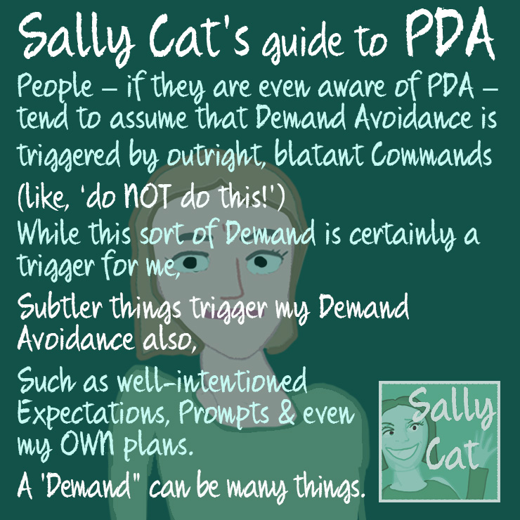 Sally Cat PDA: Memes About Demand Avoidance