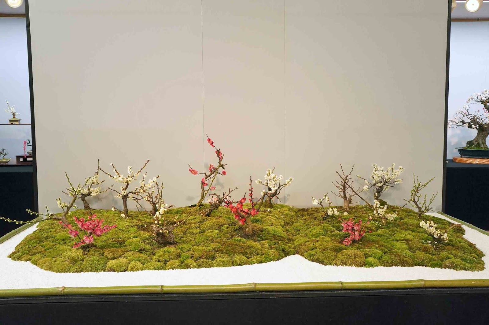 For Your Small Japanese Garden by YUKIMONO: The 65th Bonsai Exhibition ...