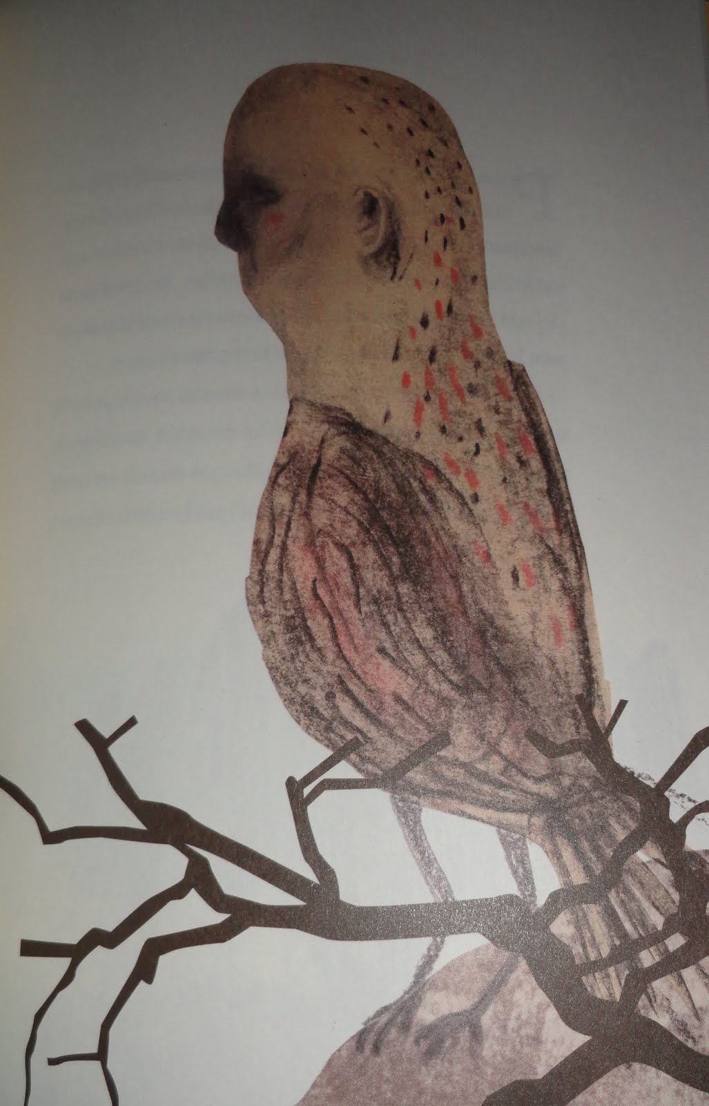 ¿Qué vas a leer hoy?: Reseña - Aventuras Y Origenes De Los Pajaros