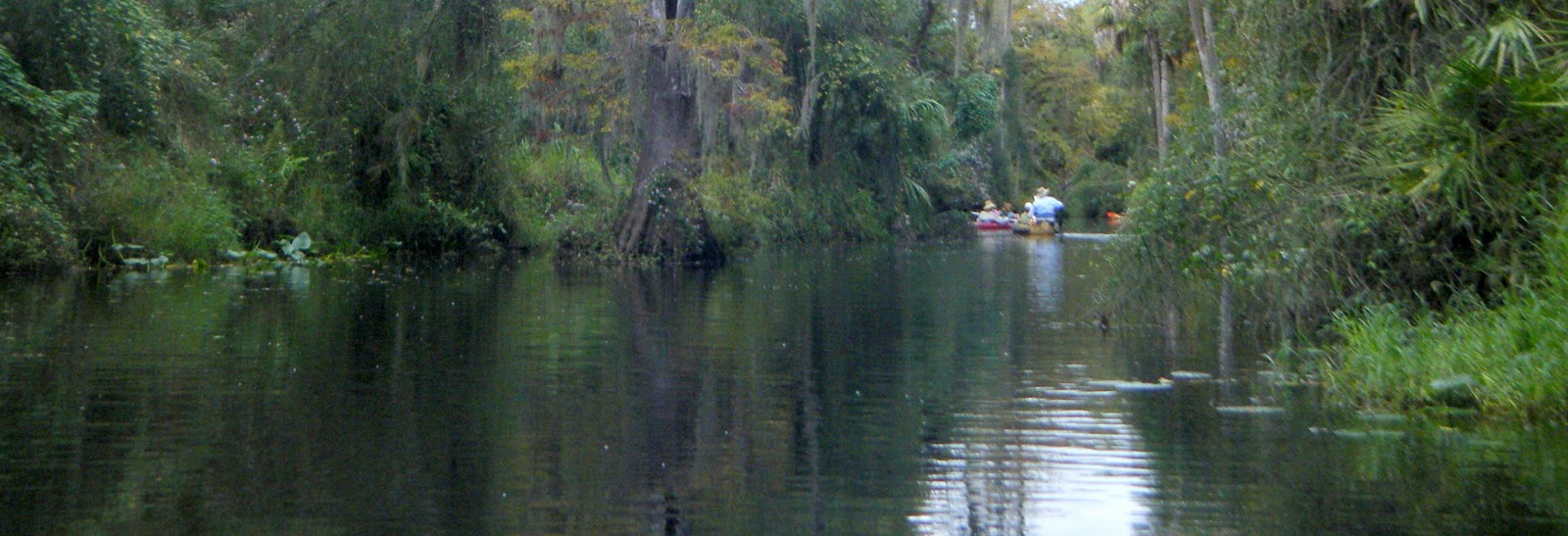 Field Notes and Photos: Shell Creek Paddle: a Sierra Club Outing