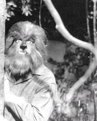 Shadows on the Wall: An Online Dark Shadows Fanzine: 1968: The Werewolf