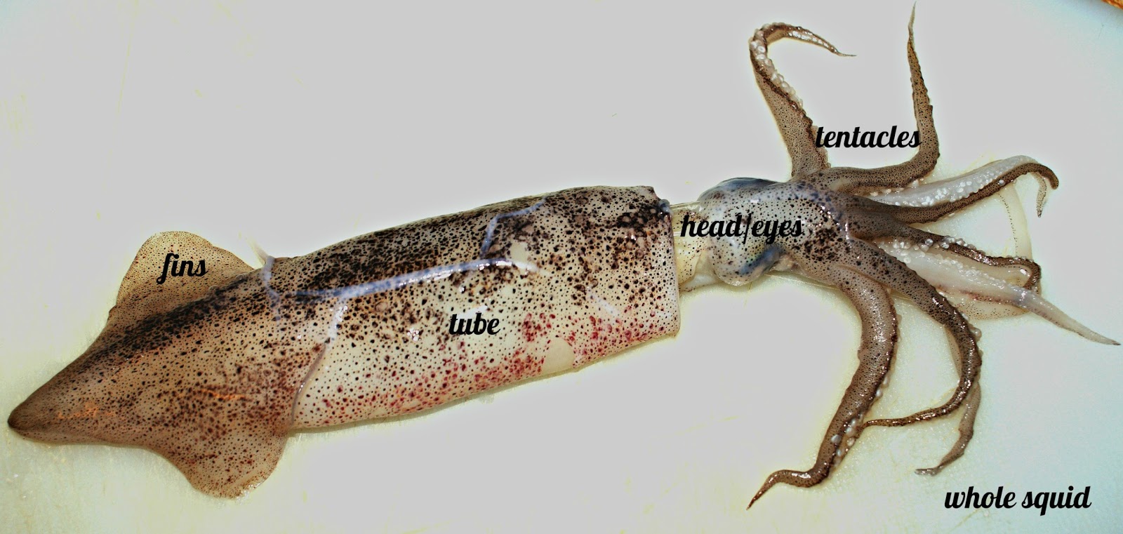 Susan's Savour-It!: Chieko's Fermented Squid (Ika no shiokara)...