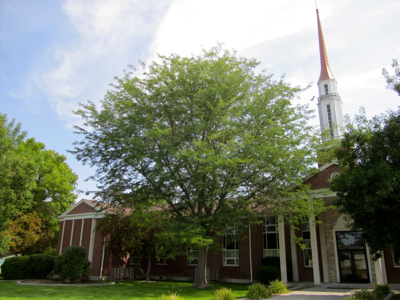 Mormon Steeples and Their Buildings