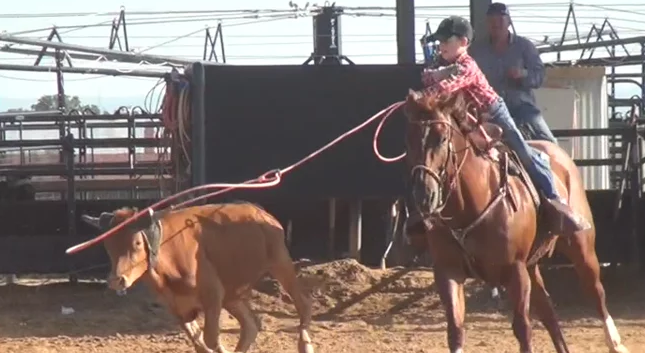 Speed Williams Team Roping: Gabriel Williams Caught His First Steer ...
