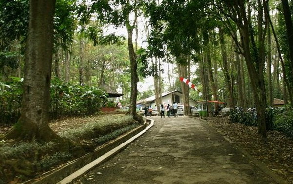 7 Tempat Wisata Alam Di Bandung Dan Sekitarnya yang Keren..!