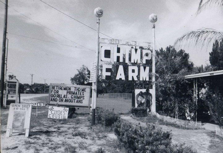 Aleada Aine Siragusa: The Artist as a Clown Part 3: The Noell's from ...