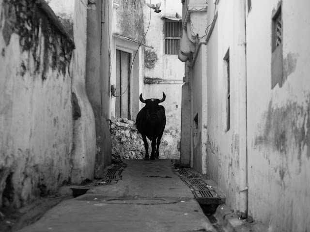 OLTRE IL MURO: ARTE e FOTOGRAFIA: ADDE ADESOKAN | PHOTOGRAPHER