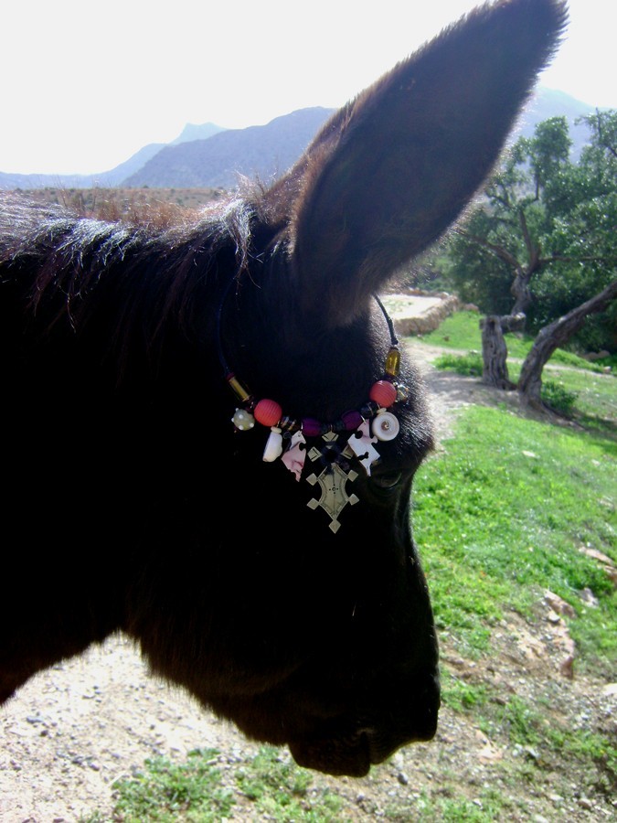 E-SPACE ART: Donkey Beads and Good Luck Charms