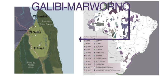 Povos Indígenas Brasileiros: Galibi-Marworno