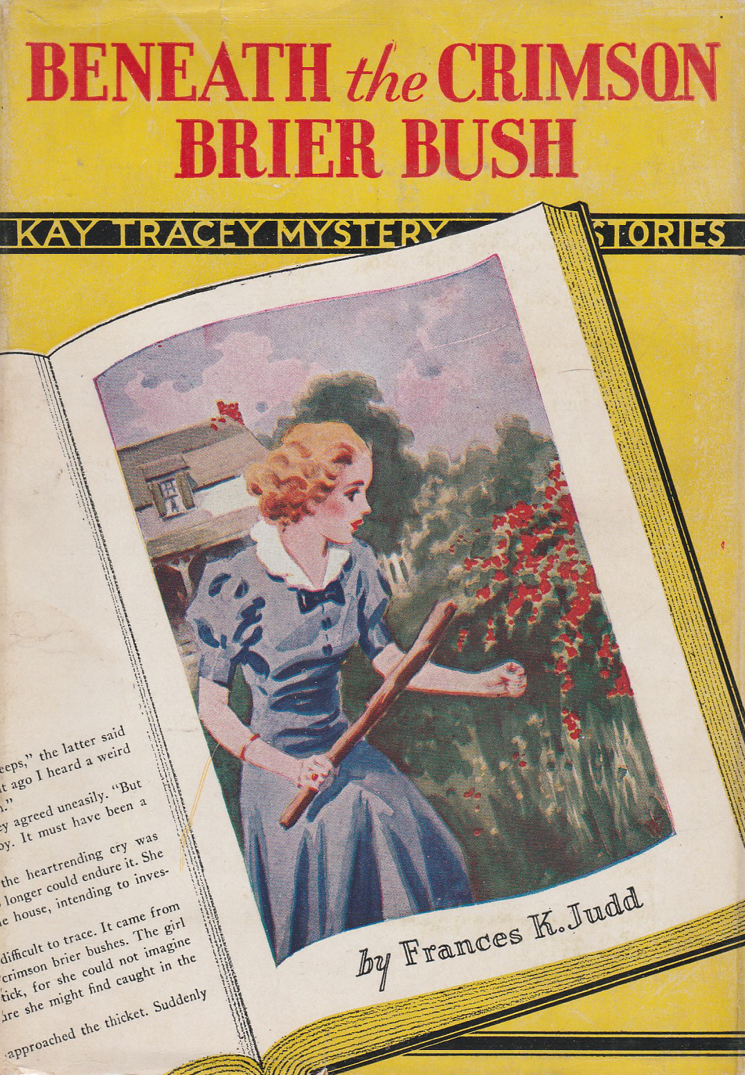 Series Books for Girls: Kay Tracey #8 Beneath the Crimson Brier Bush