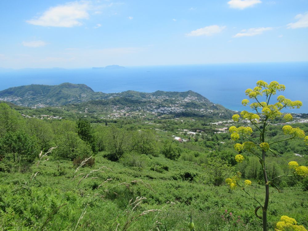 Volcanic Landscapes: At the summit of Monte Epomeo, Ischia, 01.06.2019