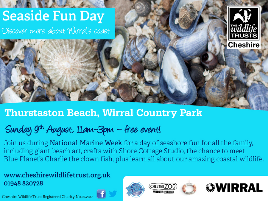 Wirral Wildlife Blog: Seaside Fun for National Marine Week