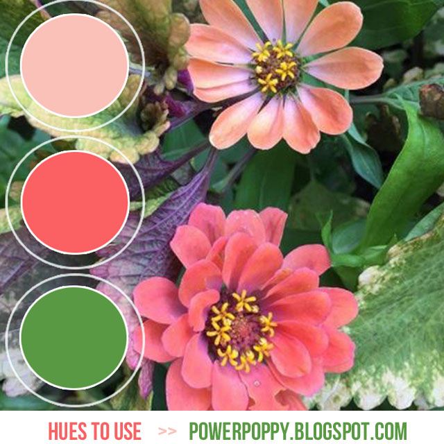 Out To Impress: A Pop of Pink!