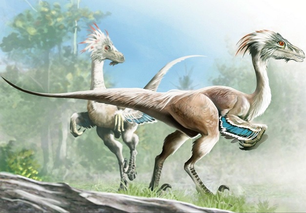 Noticias de Paleontologia: Unenlagia comahuensis, un dinosaurio con ...