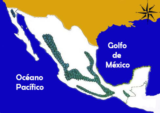 Las Regiones Naturales: Los bosques