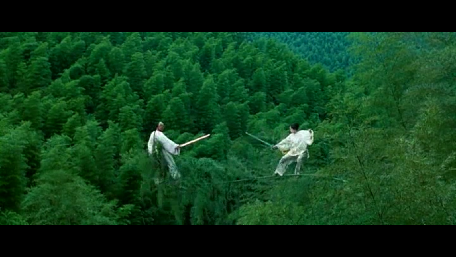 JamesH2O: Cinematography Analysis on Crouching Tiger, Hidden Dragon
