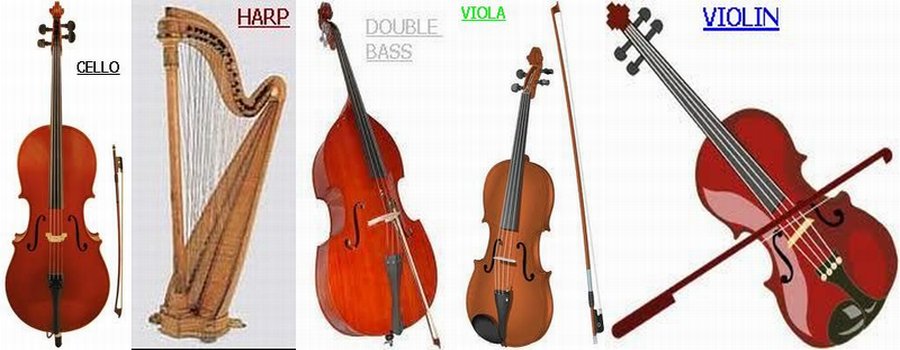 What are Western Musical Instruments