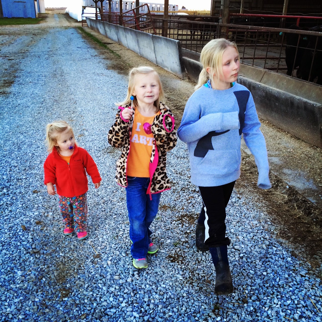 This Farm Family's Life: Ag Talk..Q&A...