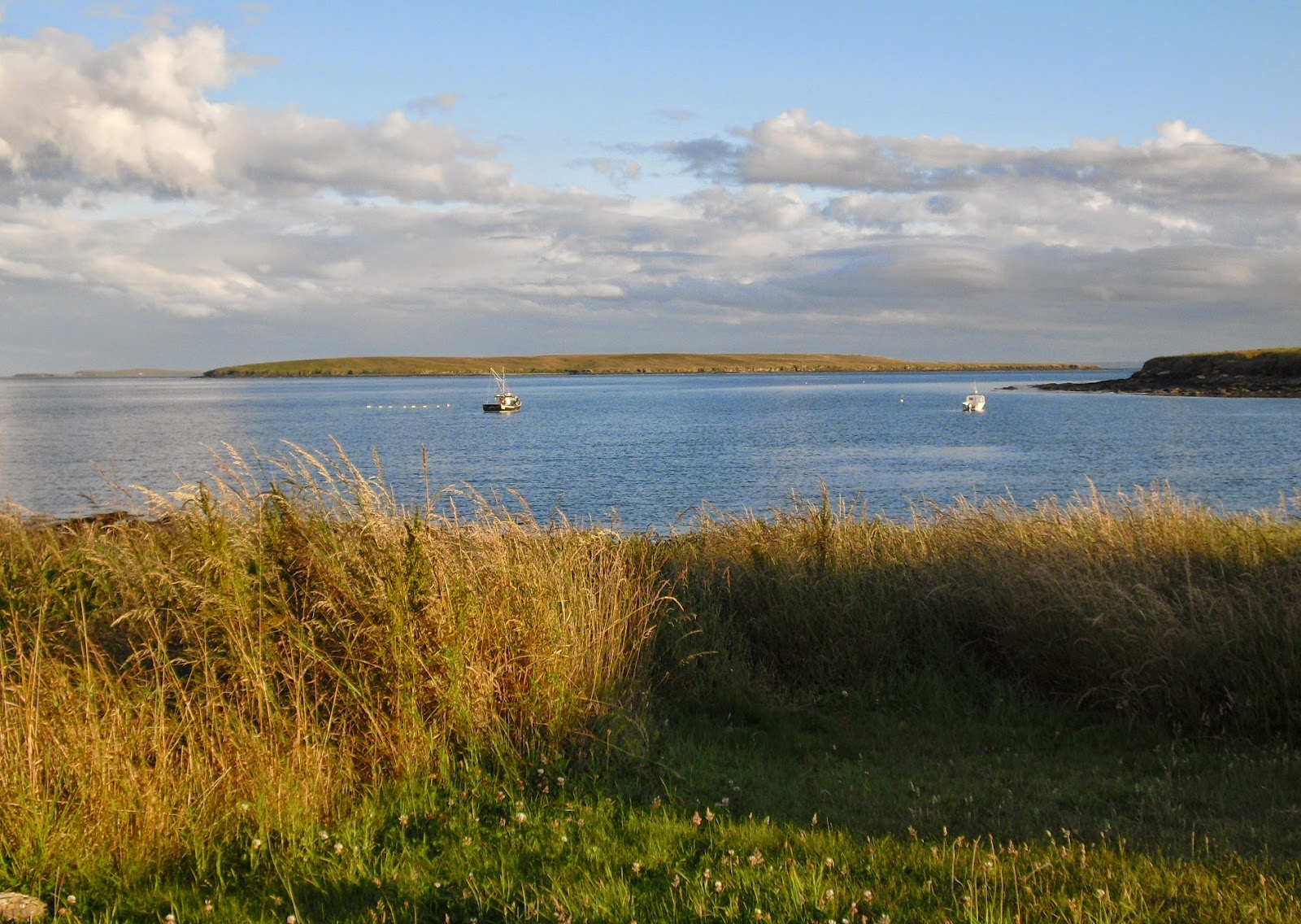 Scottish Islands Explorer: October 2014
