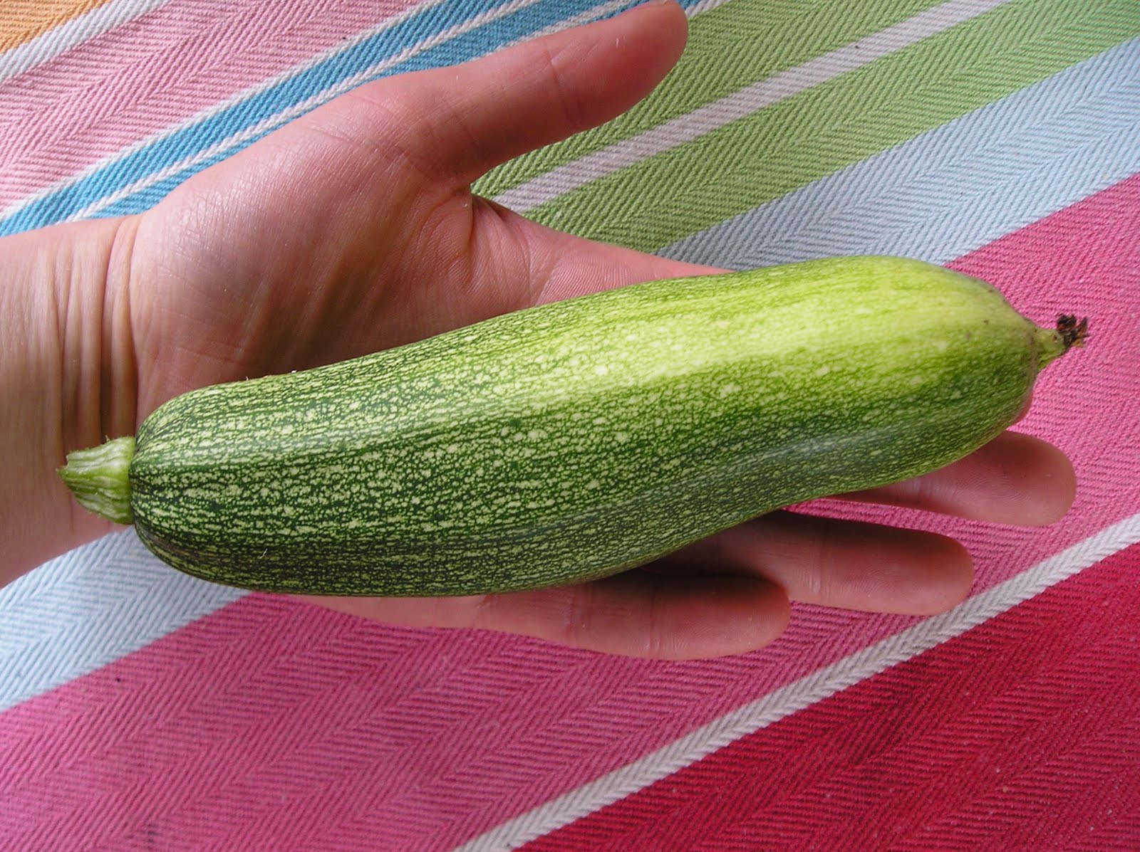 Our First Backyard Garden