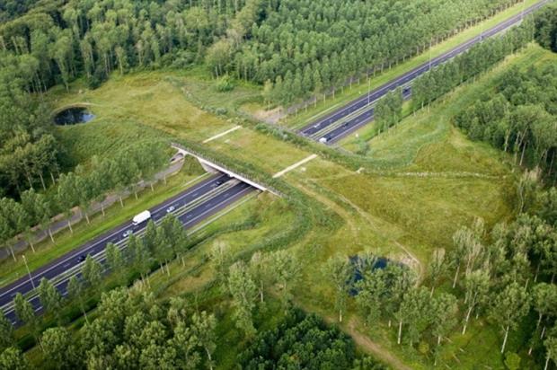 Breuillet Nature: Les ponts verts : des passages à faune