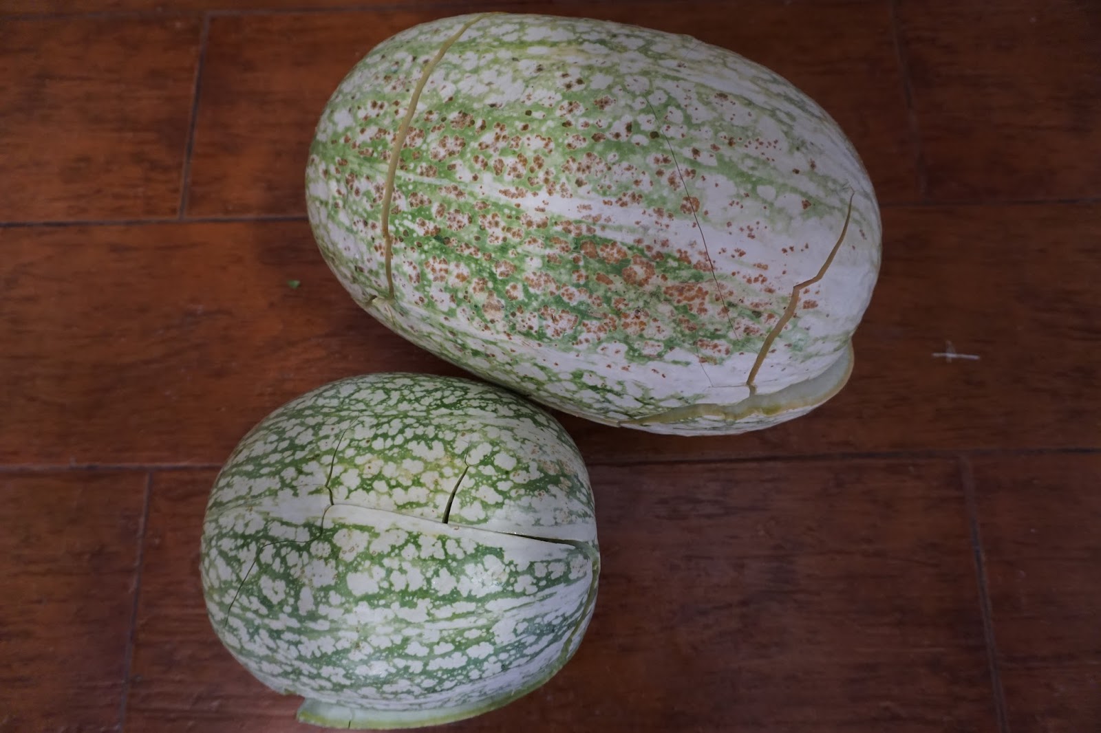 MEMÓRIAS D' AMANHÃ: DOCE DE ABÓBORA CHILA (ou GILA)