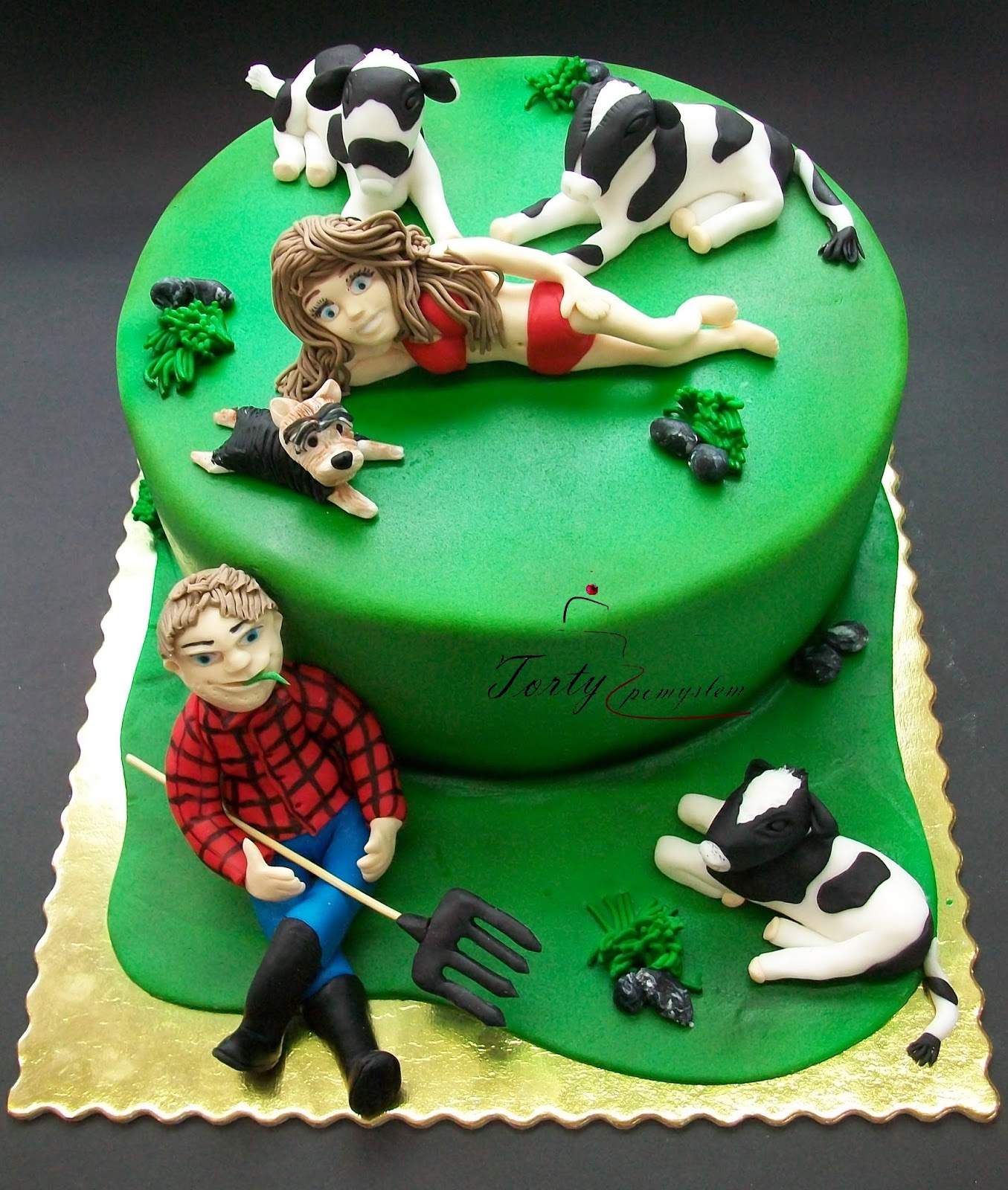 TORTY Z POMYSŁEM Kraków: Tort dla rolnika.