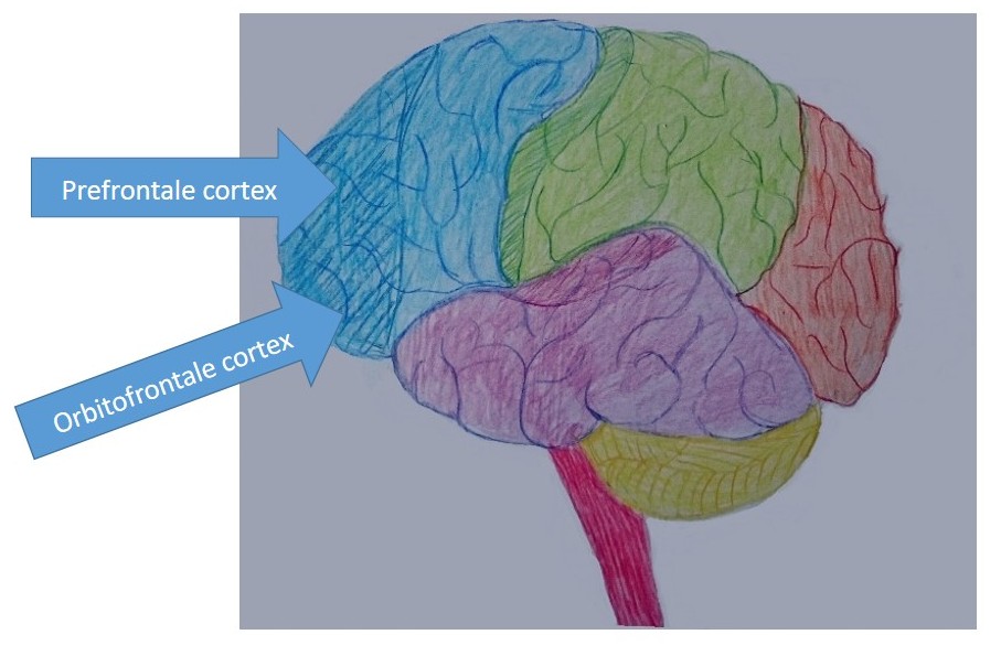 Gelukkig hagelt het niet: Bach, Britten en een begaafd brein (IV)