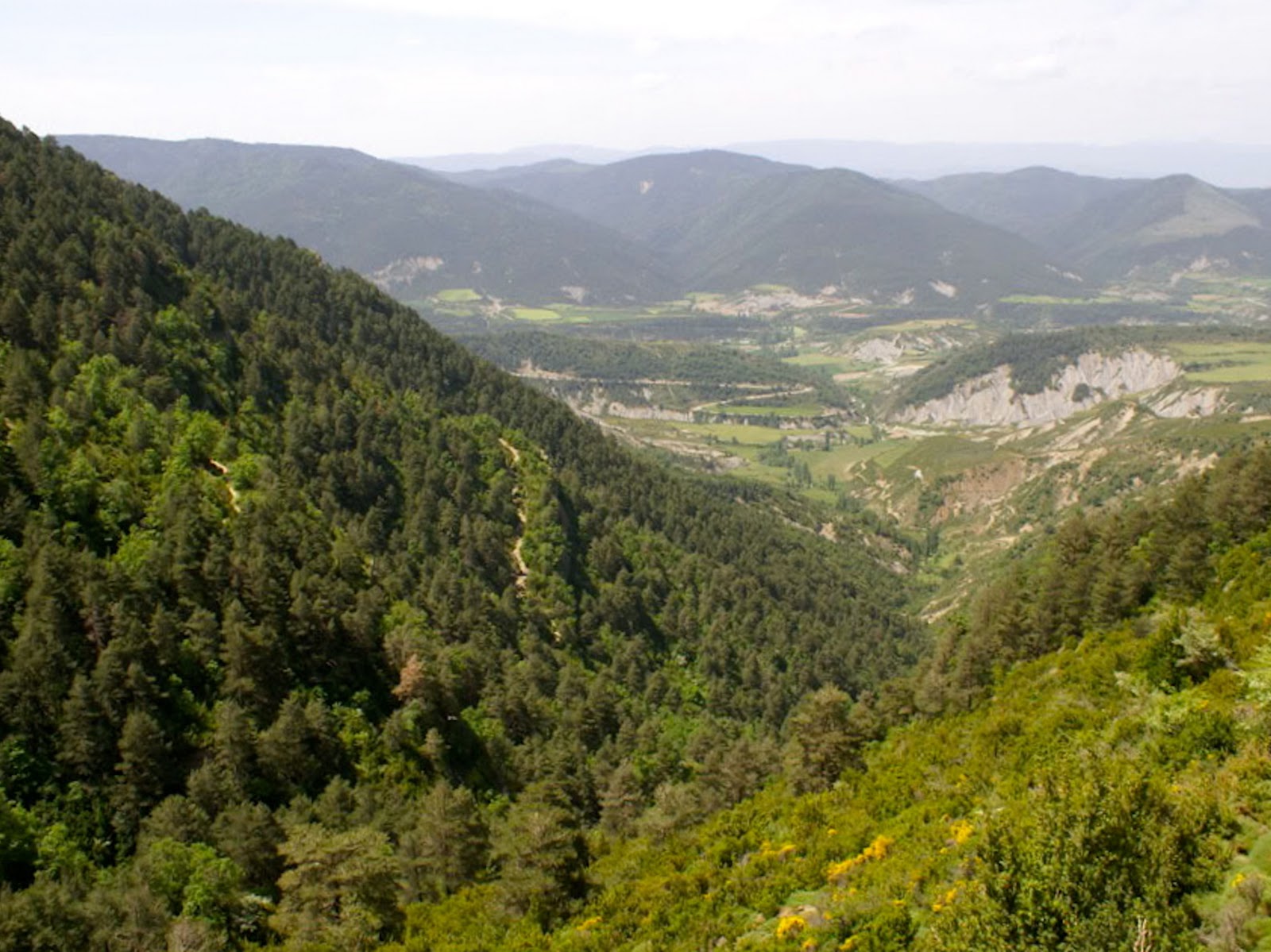 Buscando Montsalvatge: OTURIA (I): YEBRA DE BASA