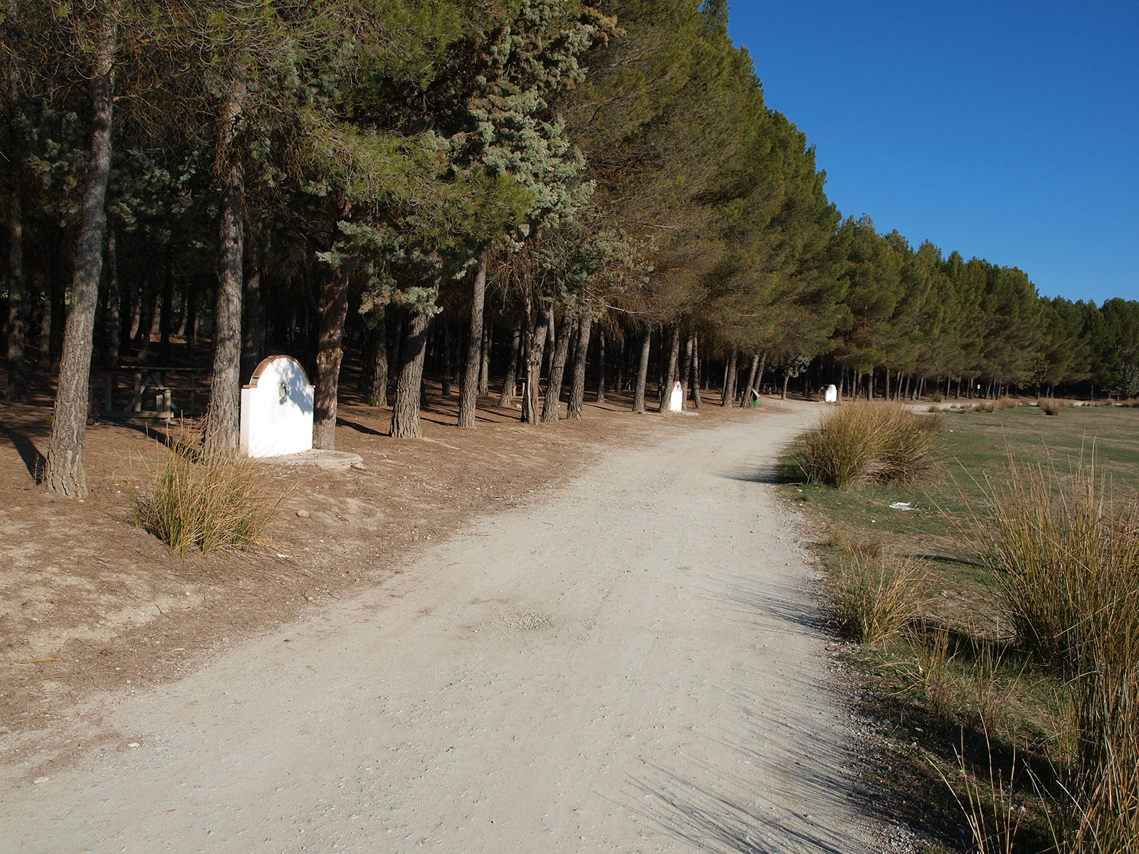Caminando por Sierras y Calles de Andalucía: Pantano Bermejales ...
