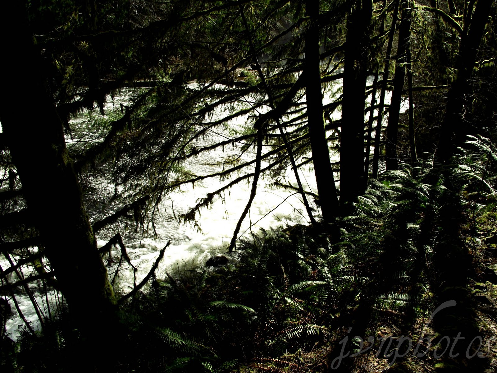 Photos by Jan: Triangle Lake, Oregon and Further Adventures