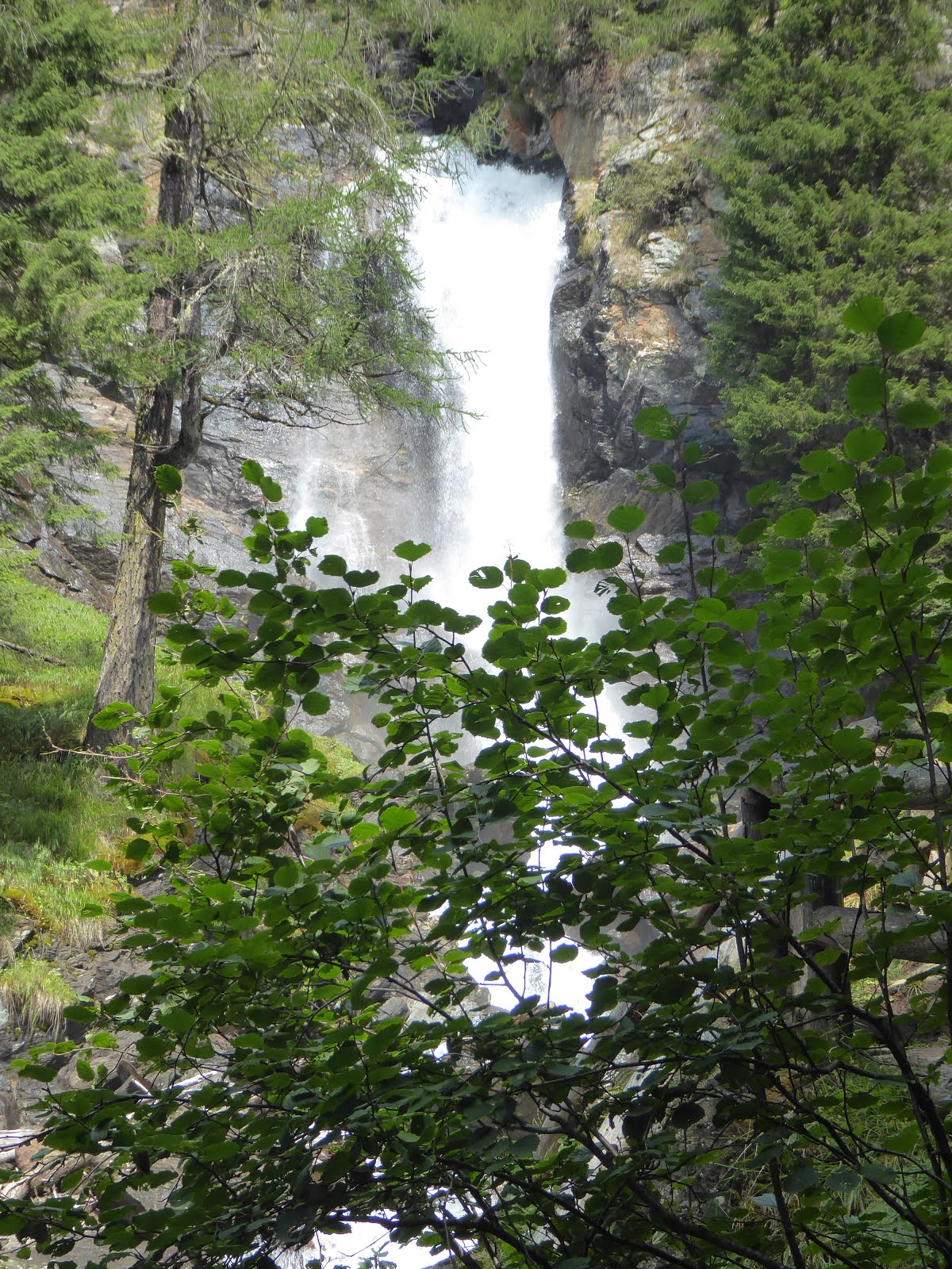 Vite in viaggio: LE CASCATE DEL SAENT E IL PONTE TIBETANO IN VAL DI RABBI