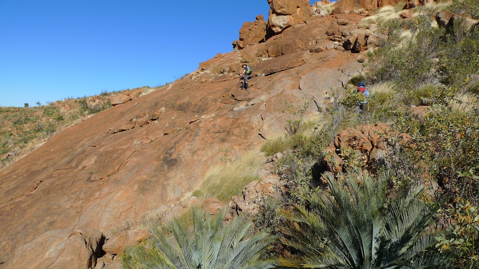 Mountains: Mt Zeil, NT, Australia