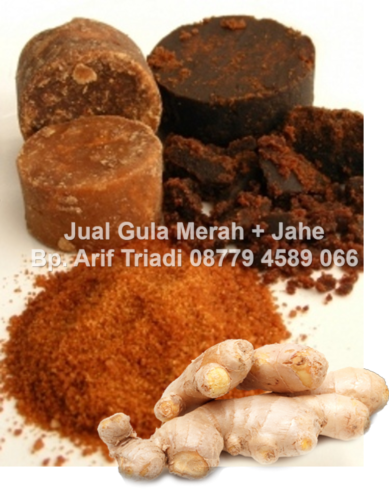Jual Gula Merah Kelapa Asli Organik Gula Semut Harga Murah 08779 4589 ...