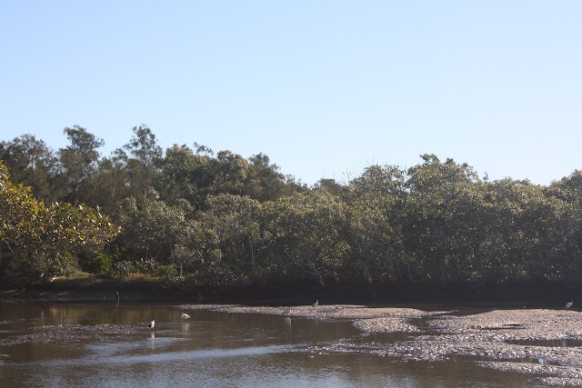 Mik's Random Adventures: NUDGEE BEACH