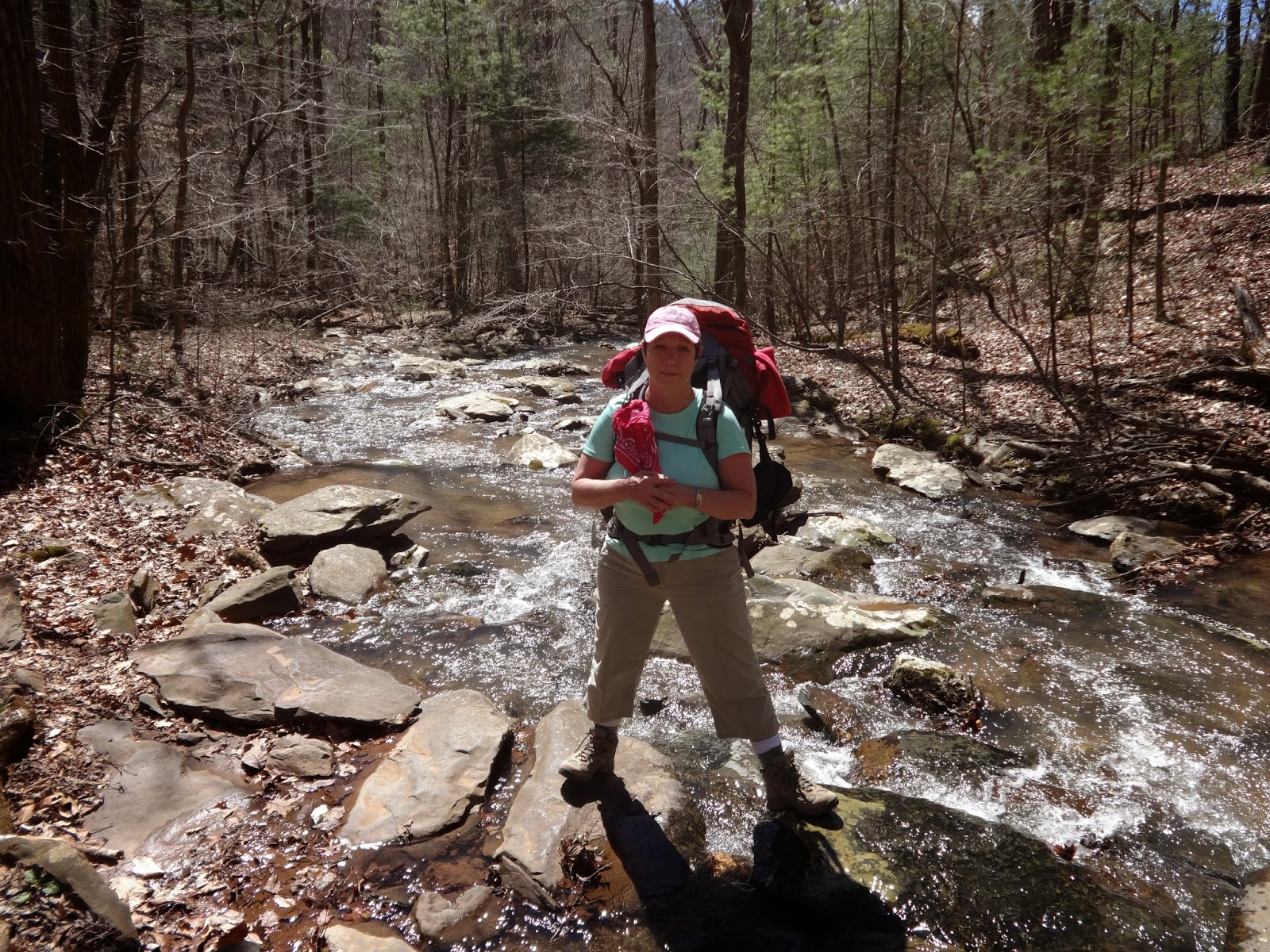 Appalachian Trail Section hiking: Punchbowl Shelter to Highway 60