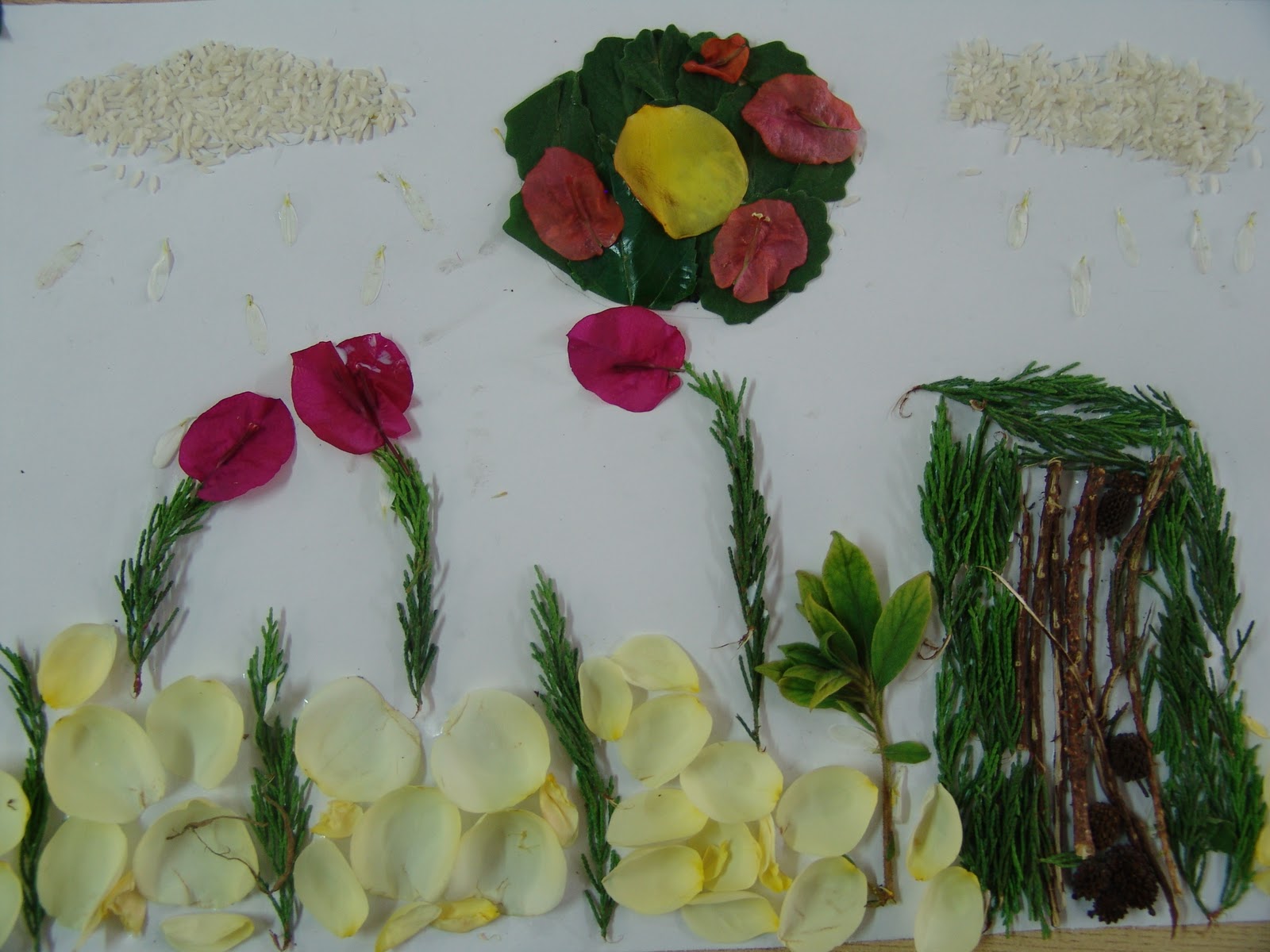 Taller de Artes Plásticas: Collage con elementos naturales.