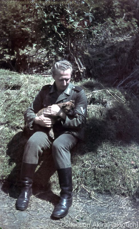 NAZI JERMAN: Album Foto Anjing (Hunde) Nazi Jerman