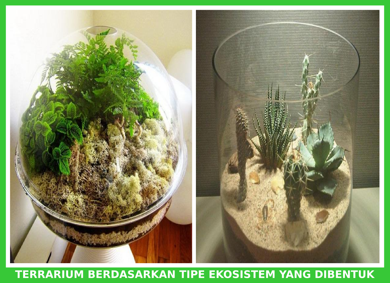 Muhammad Bagoes Blog's: Green Business Terrarium untuk Mahasiswa ...